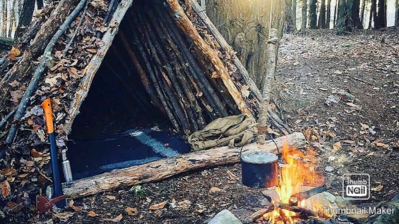 How To Survive In The Wild - YouTube