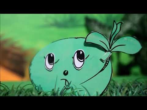 Câu chuyện chú đỗ con - YouTube