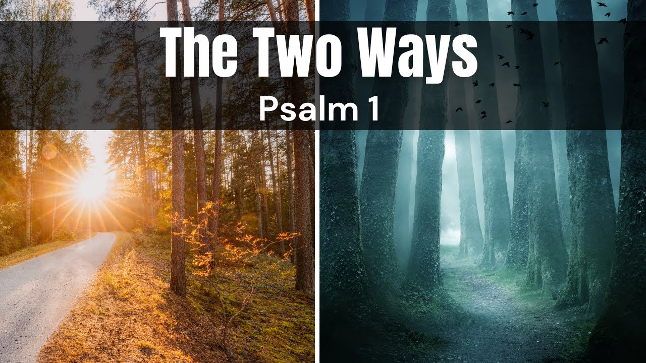 Psalm 1: The Two Paths of Life – Blessings for the Righteous, Judgment ...