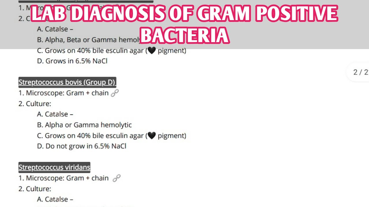 Laboratory diagnosis of gram positive cocci || laboratory diagnosis ...