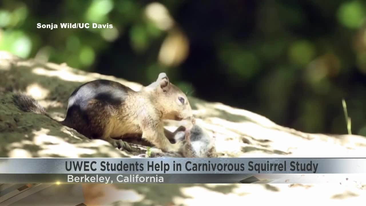 UW-Eau Claire students help in study that discovered carnivorous ...