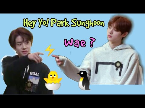 (ENHYPEN) Sunghoon & Jake being Inseparable Friend (SungJake / JakeHoon ...
