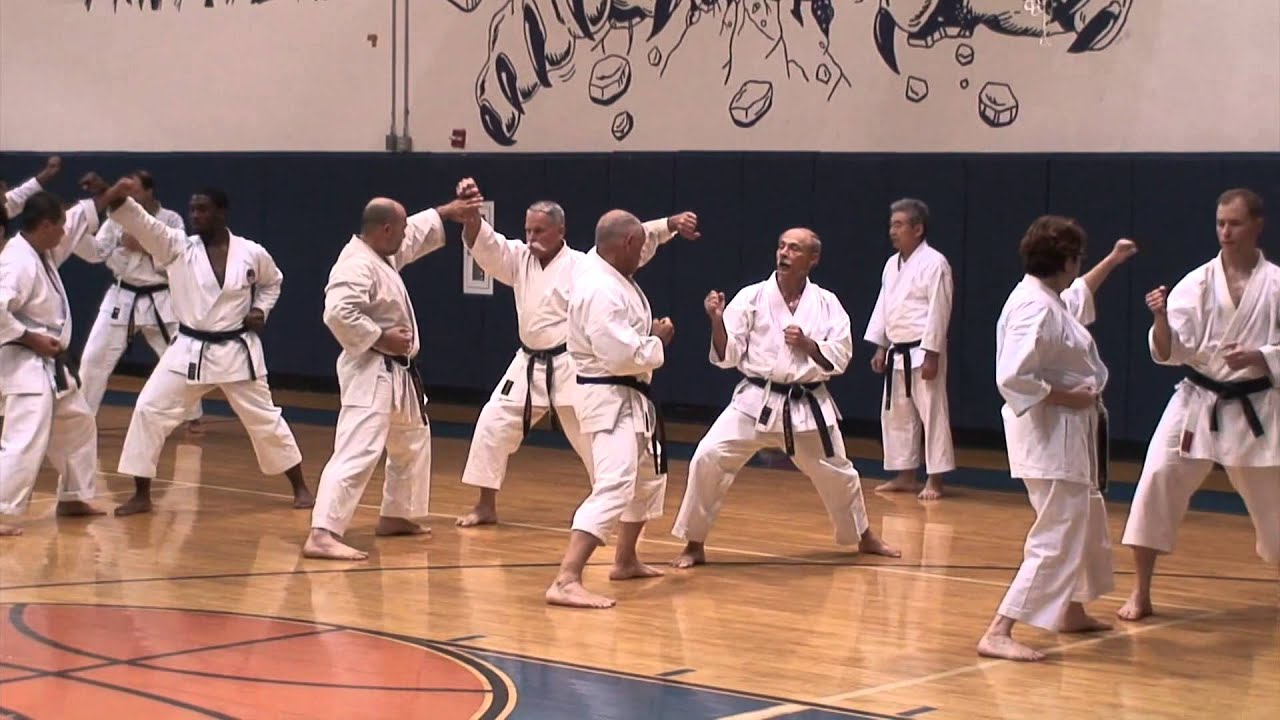 Master Mikami front kick lung punch scoop rising block kumite drill ...