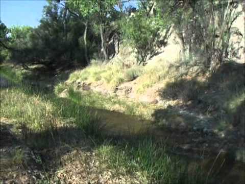 Cabin on Rio Tularosa - YouTube