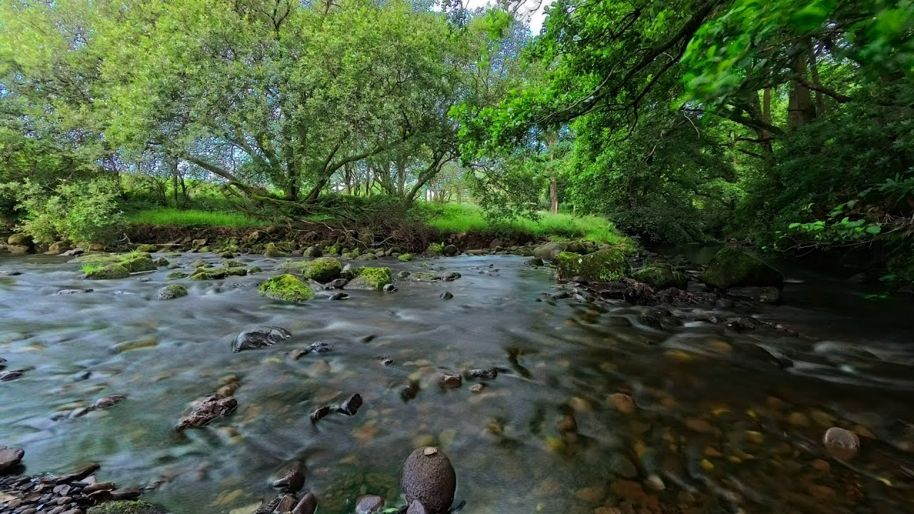 Relaxing Sight & Sound of the River Wyre at Tarnbrook | 4 hours - YouTube