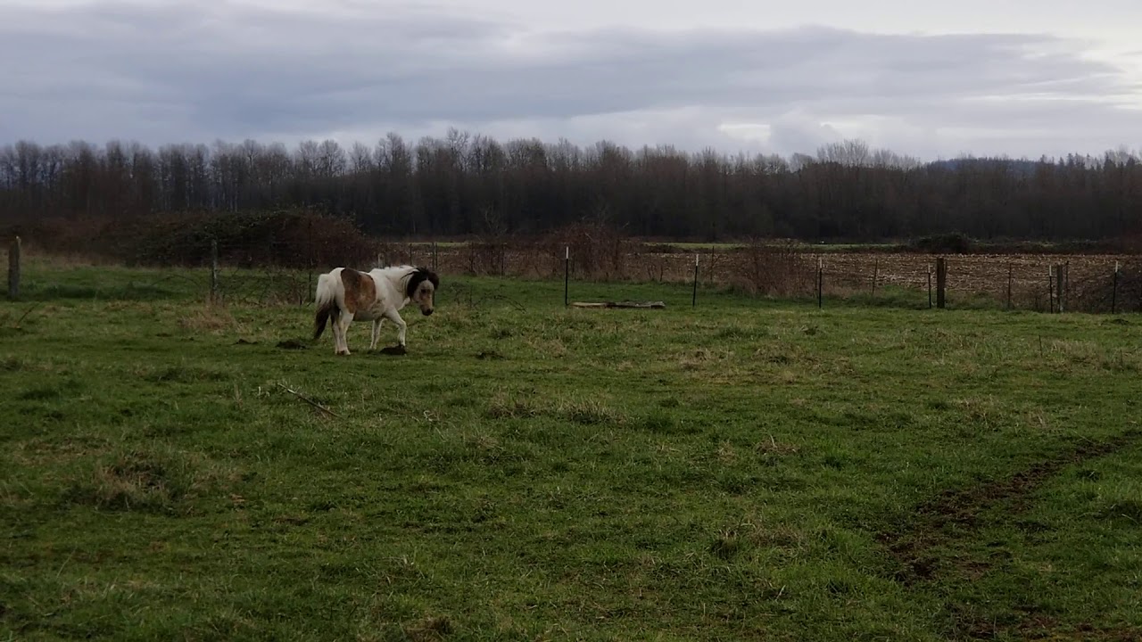 Princess stretching her legs - YouTube