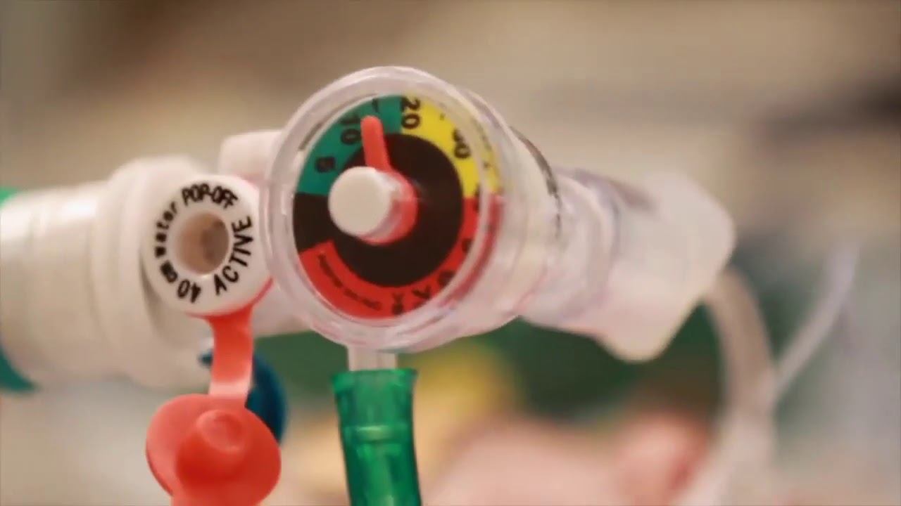 الفيزياء هي الحياة Physics is LIFE - YouTube