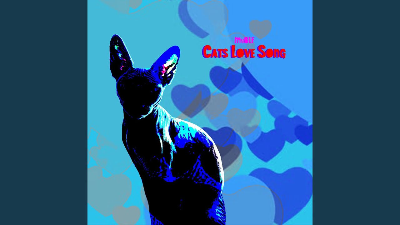 Cats Love Song - YouTube