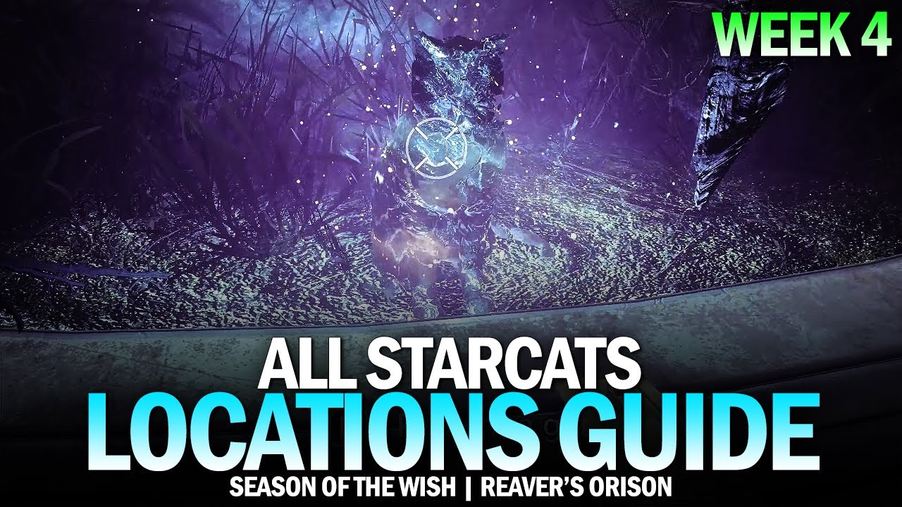 All Starcat Locations Guide - Week 4 (Reaver's Orison) [Destiny 2 ...