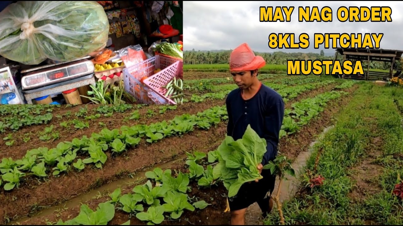 ORDER DELIVER ULI TAYO NG PITCHAY AT MUSTASA - YouTube