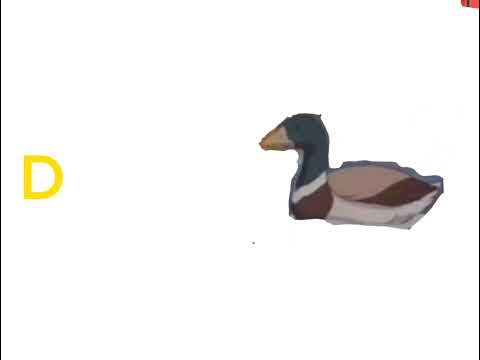 Learn the ABCs D is for Duck - YouTube