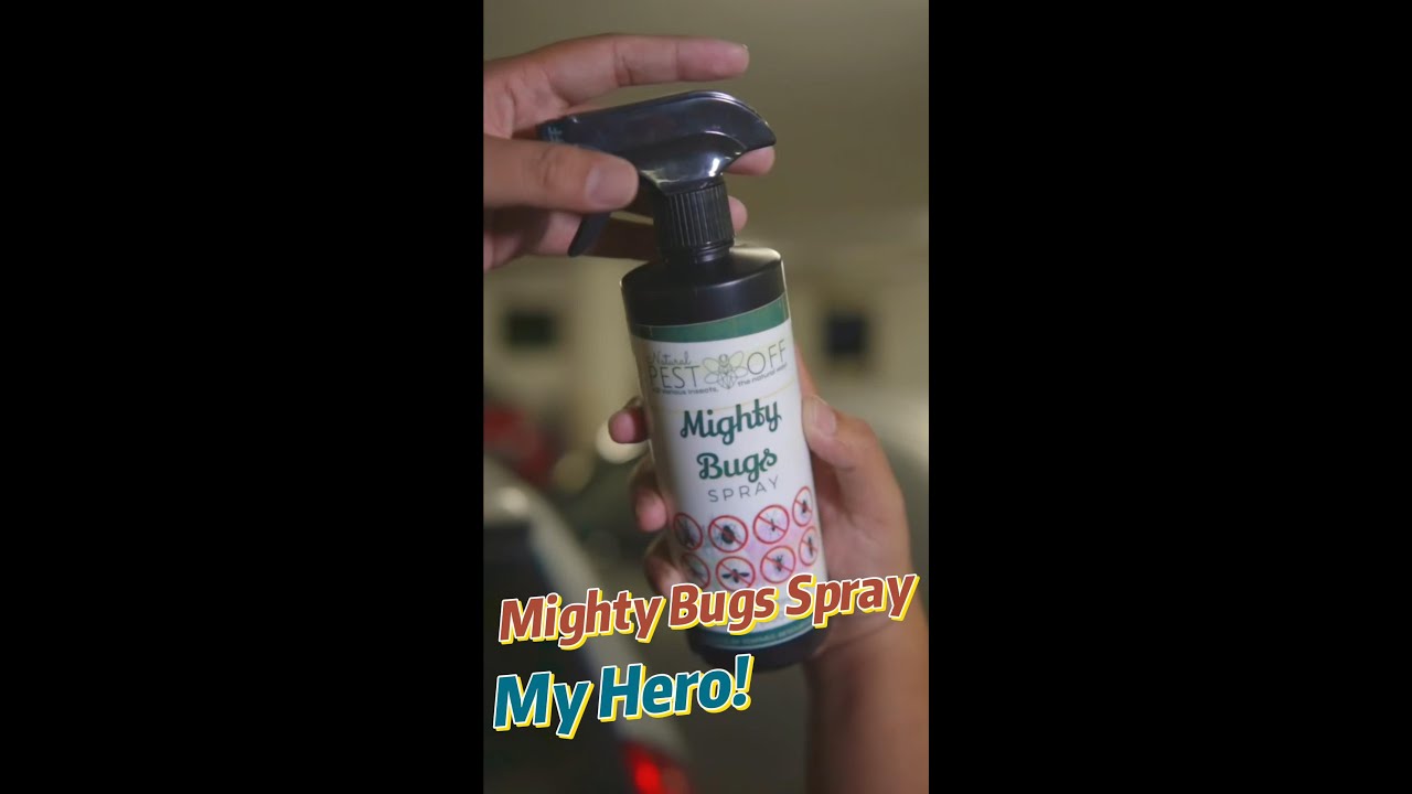 Starmeg's Mighty Bugs Spray for a Pest-Free Car! - YouTube