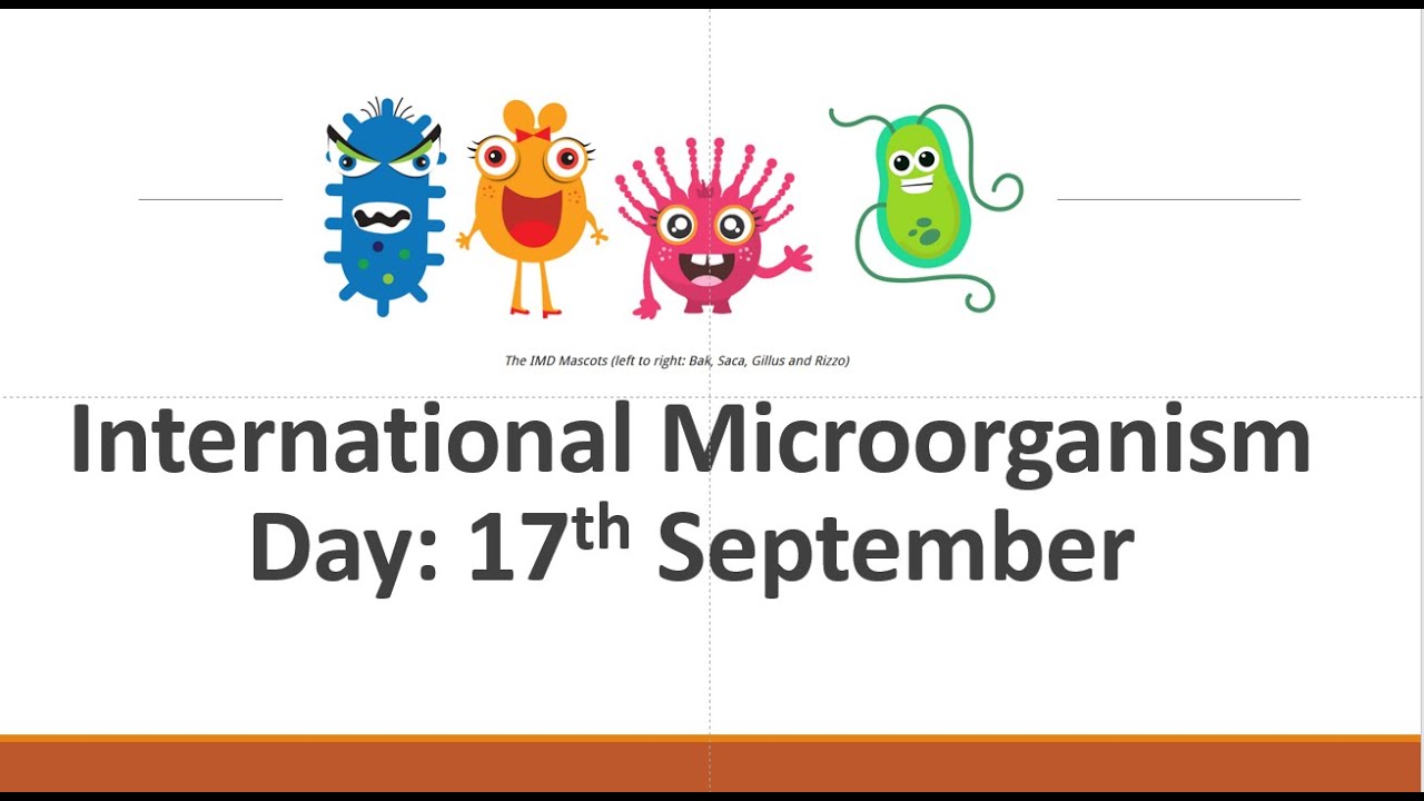 International Microorganism Day: 17th September - YouTube