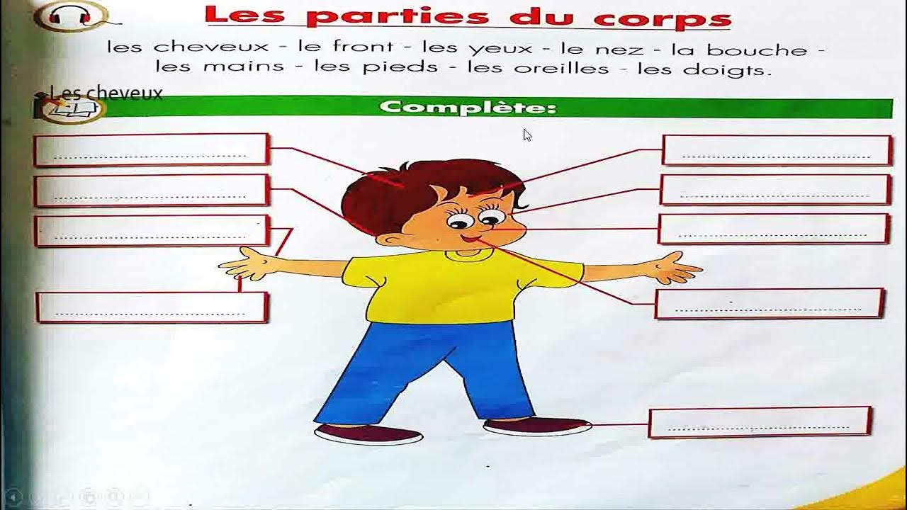 Les parties du corps partie-2-3eme annee - YouTube