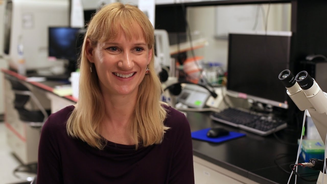 Better detecting heart disease | Inside the Research | Washington ...