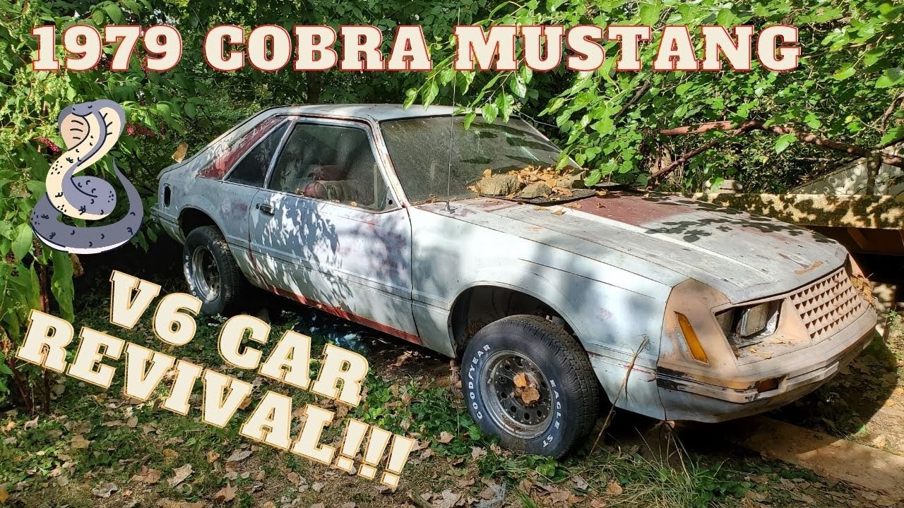 1979 Cobra Mustang First Start In Years!!!!!! - YouTube