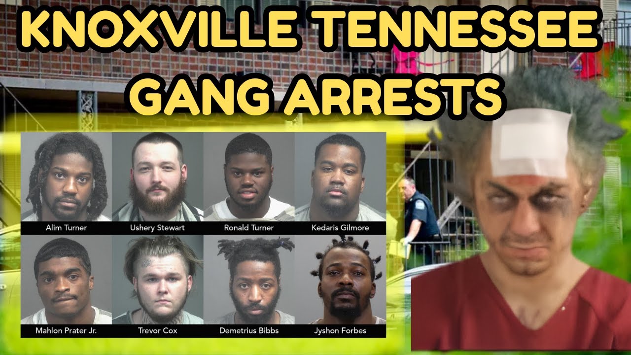 Knoxville Tennessee Gang Arrests: Bloods, Gangster Disciples & Vice ...