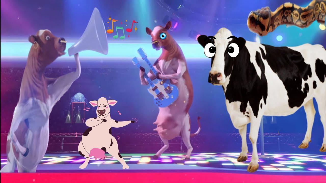 Funny cow dance!cow sound and cow video2023!Cow dance!funny cow!funny ...