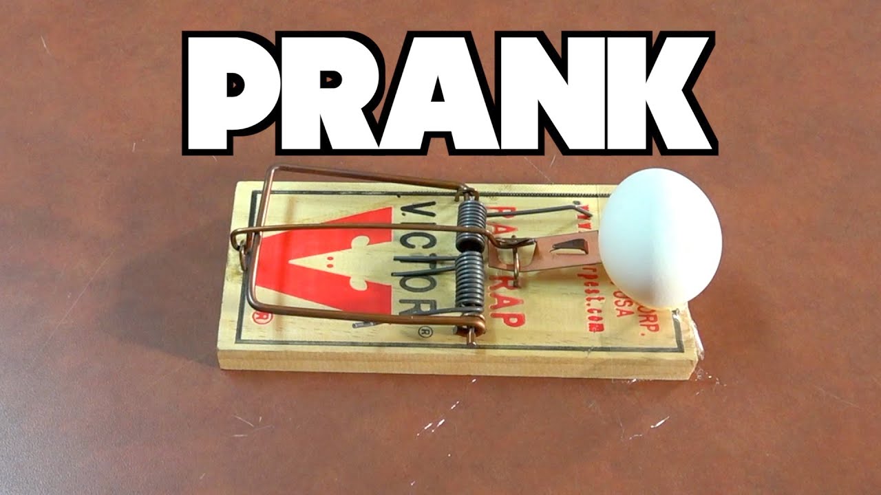 Epic Mouse Trap Prank You Can Do - YouTube