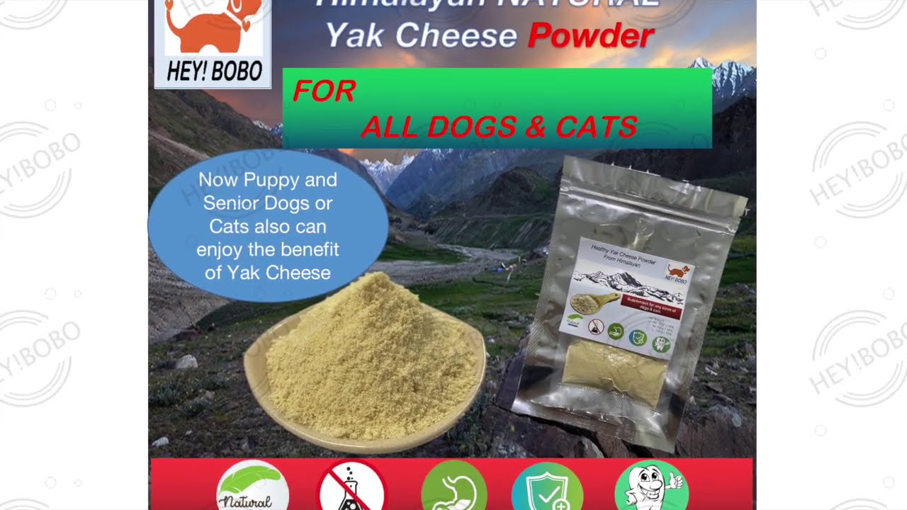 HEY!BOBO Himalayan YAK CHEESE POWDER - YouTube