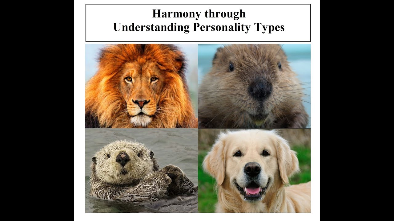Harmony Through Understanding Personality Types YouTube harmony-through-understanding-personality-types-youtube