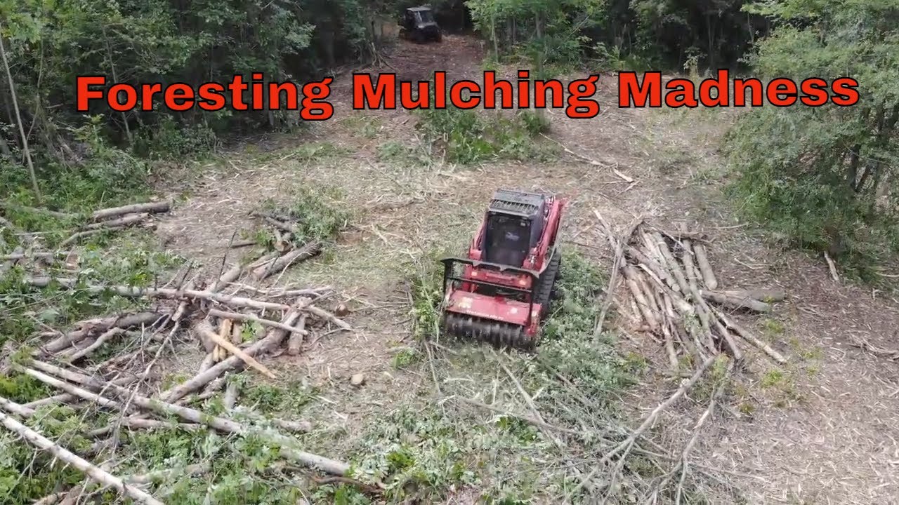 Conservation Plot Clearing (CRP) Tips- Forest Regeneration using a Forest muncher - YouTube