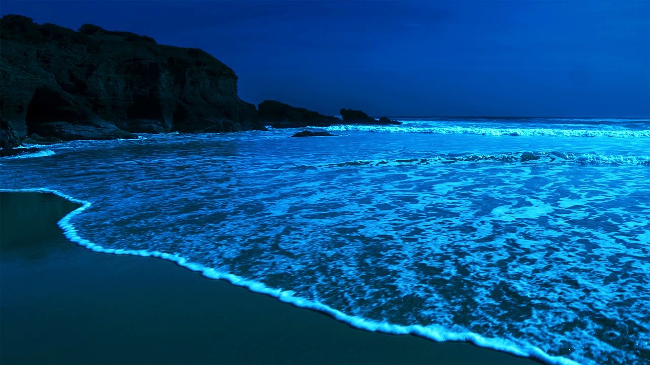 Sleep By The Sea All Night And Relaxing Sparkling Waves Beach, 10 Hours ...