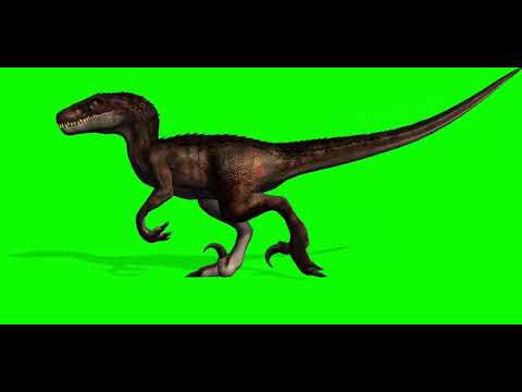 Small raptor Dinosaur walking slow Green Screen VFX & CGI effects - YouTube