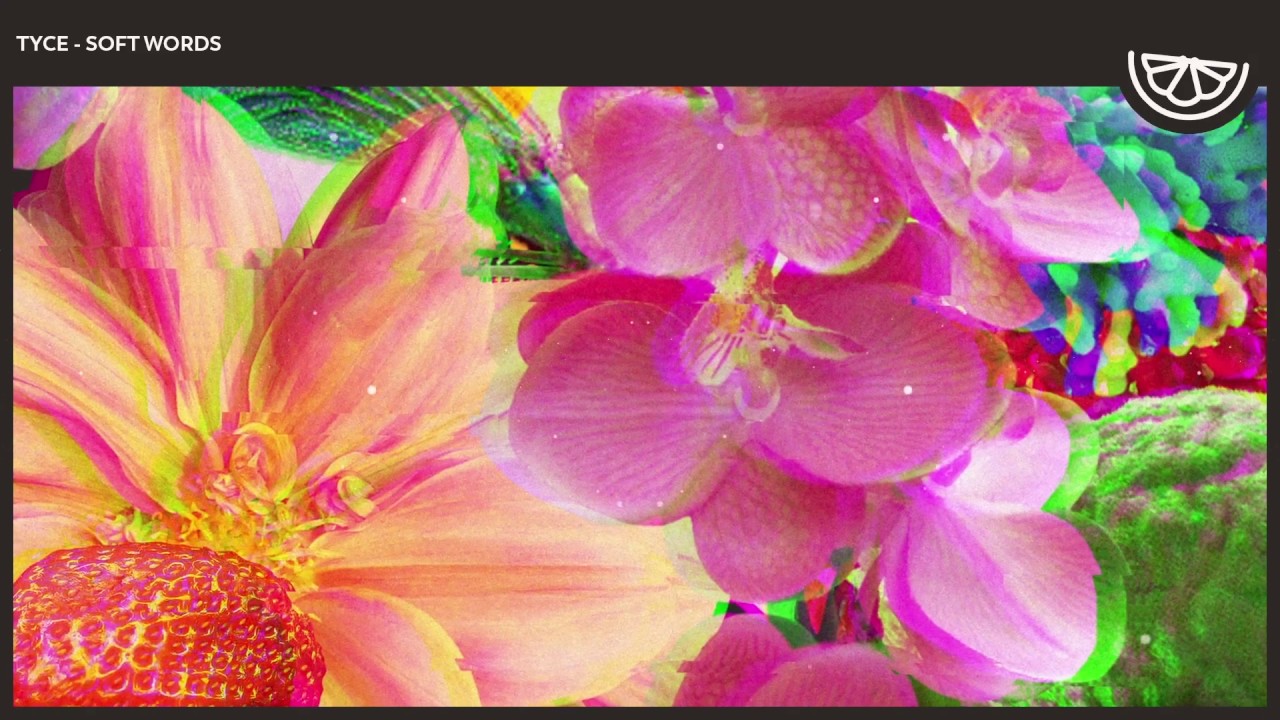 TYCE - Soft Words | Future House 2020 - YouTube