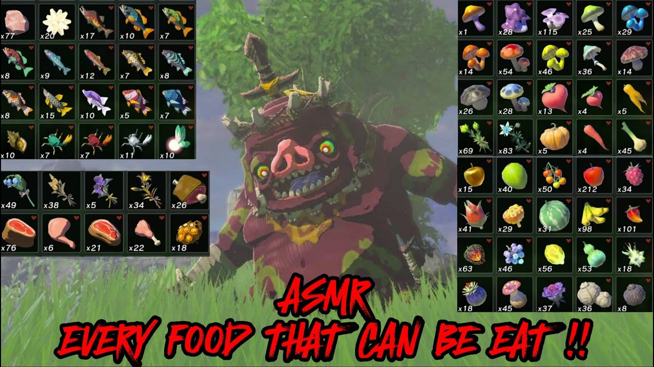 ASMR EVERY FOOD THAT CAN GIVE TO MONSTER IN TOTK !! (The Legend of ...