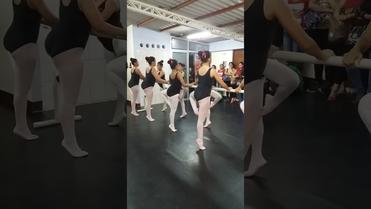 EXAMEN DE BALLET CLÁSICO - NIVEL ELEMENTAL 2 | ACADEMIA DE DANZA ...