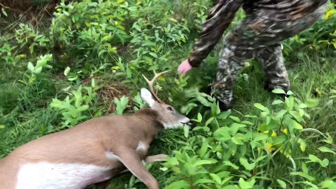 Jackson buck find - YouTube