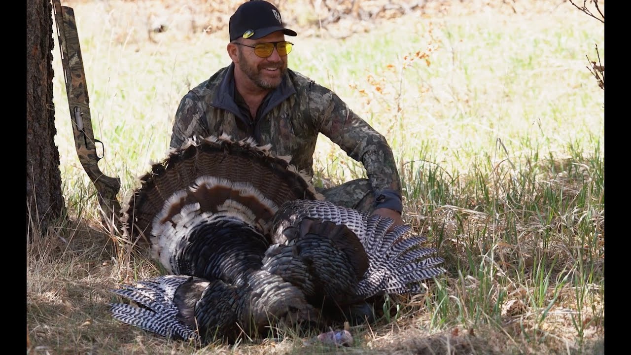 Colorado Turkey Hunt - Introduction of Randy Peck and quick turkey hunt ...