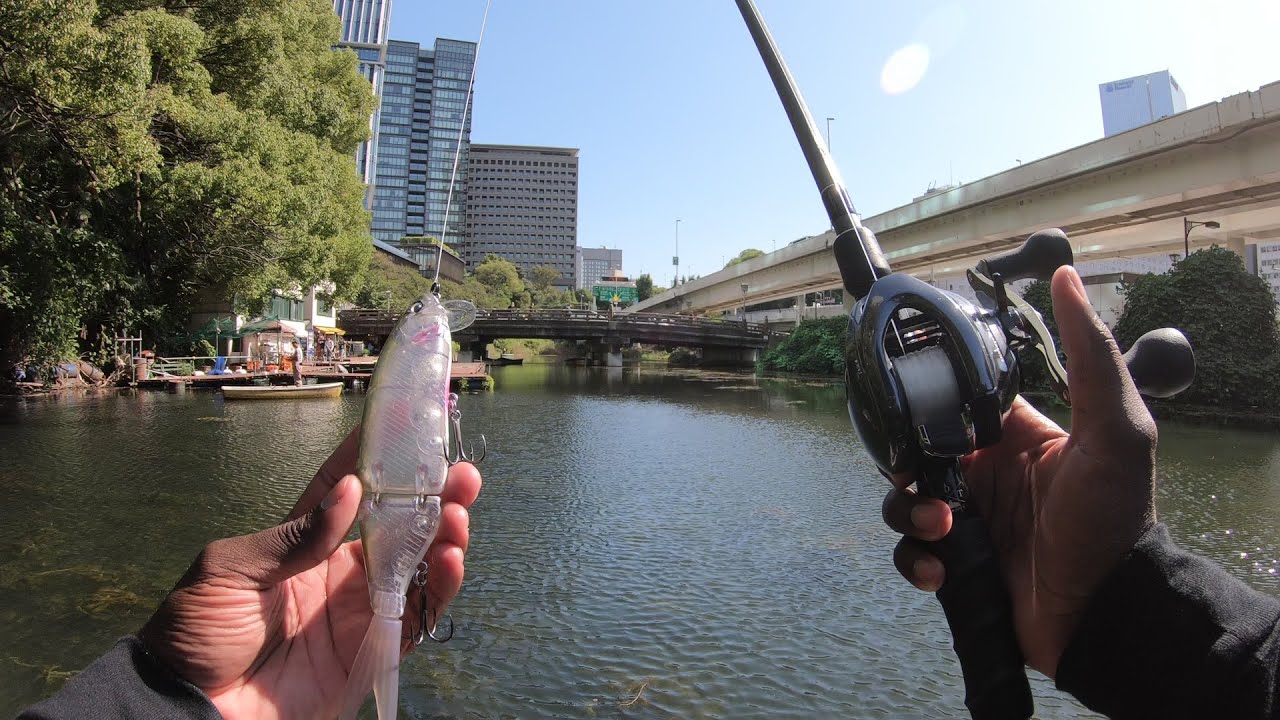 Fishing In The Middle Of Tokyo Japan! - YouTube