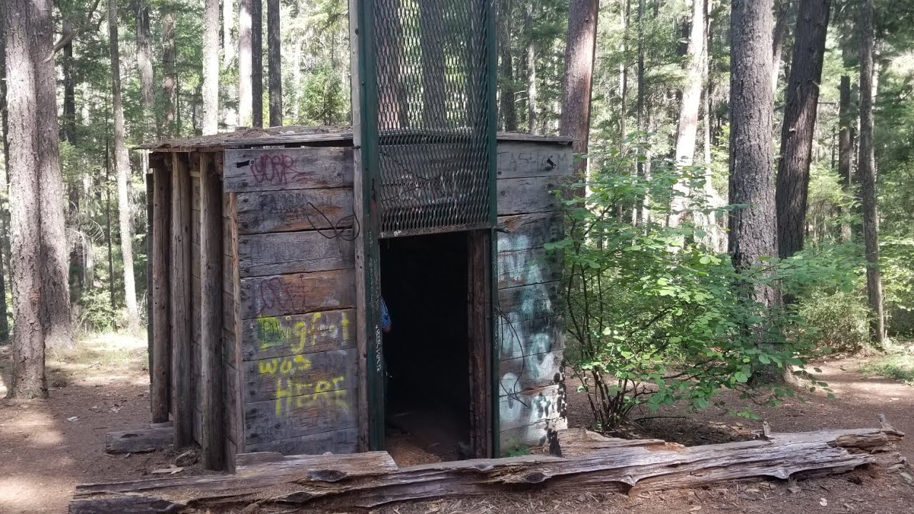 Official Bigfoot Trap Est.1973 - Oregon 2020 - YouTube