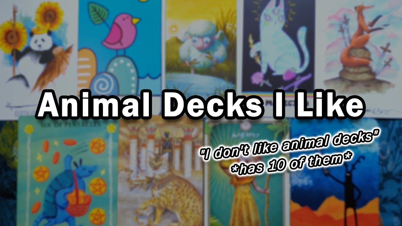 Animal Decks I actually like - YouTube
