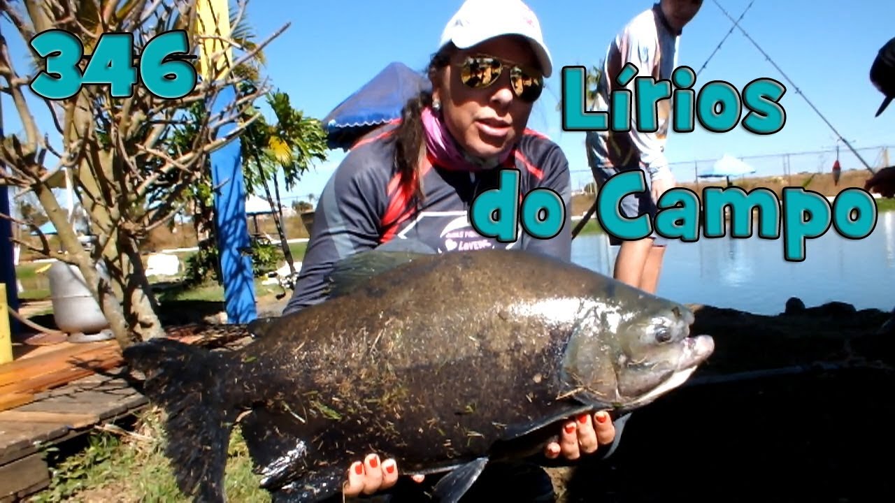 Pescaria difícil em Goiás mas com muitos peixes no Lírios do Campo ...