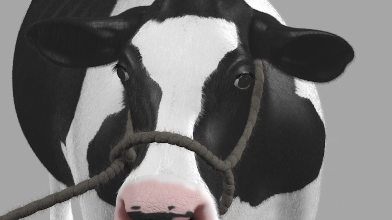 EXCEDE (ceftiofur crystalline free acid) Sterile Suspension ...