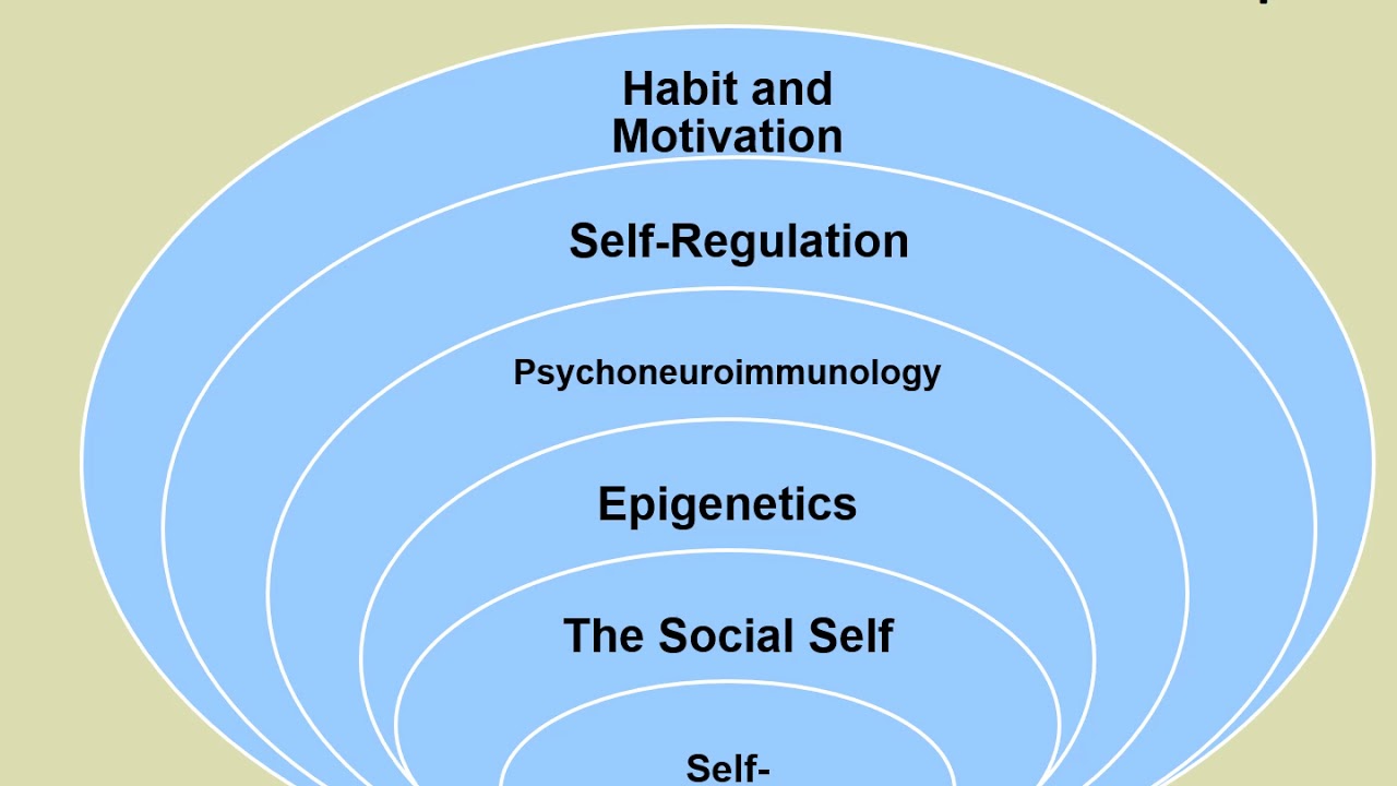 1 Intro and Self Organization clip - YouTube