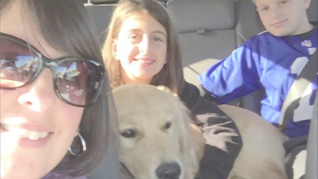 Cooper Shea's 2nd Birthday Celebratory Video - YouTube