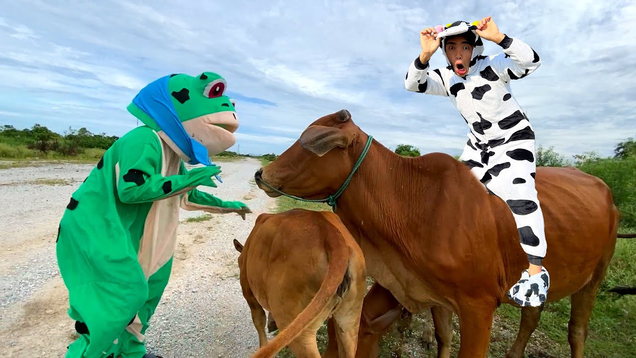 con bò,con bo - con bò con - con bò ăn cỏ - nhạc con bò chế - bài hát ...