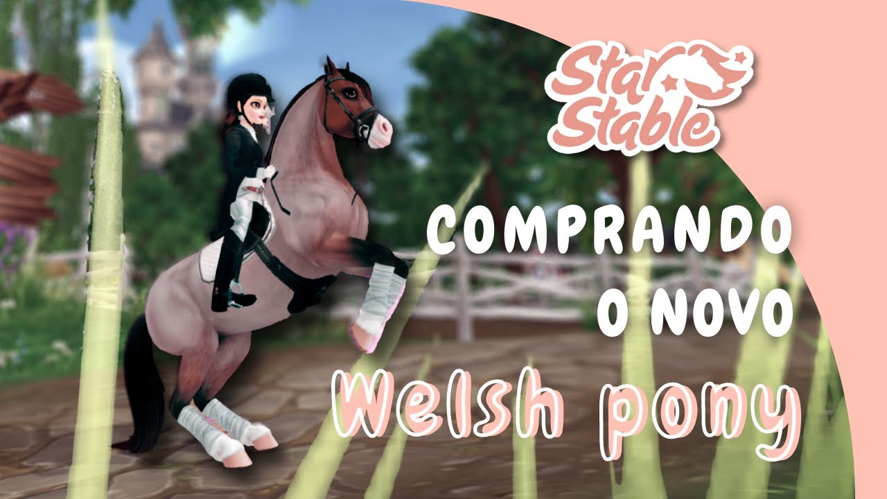 [SSO] COMPRANDO o NOVO WELSH PONY - opinião e novo equipamento (Star ...