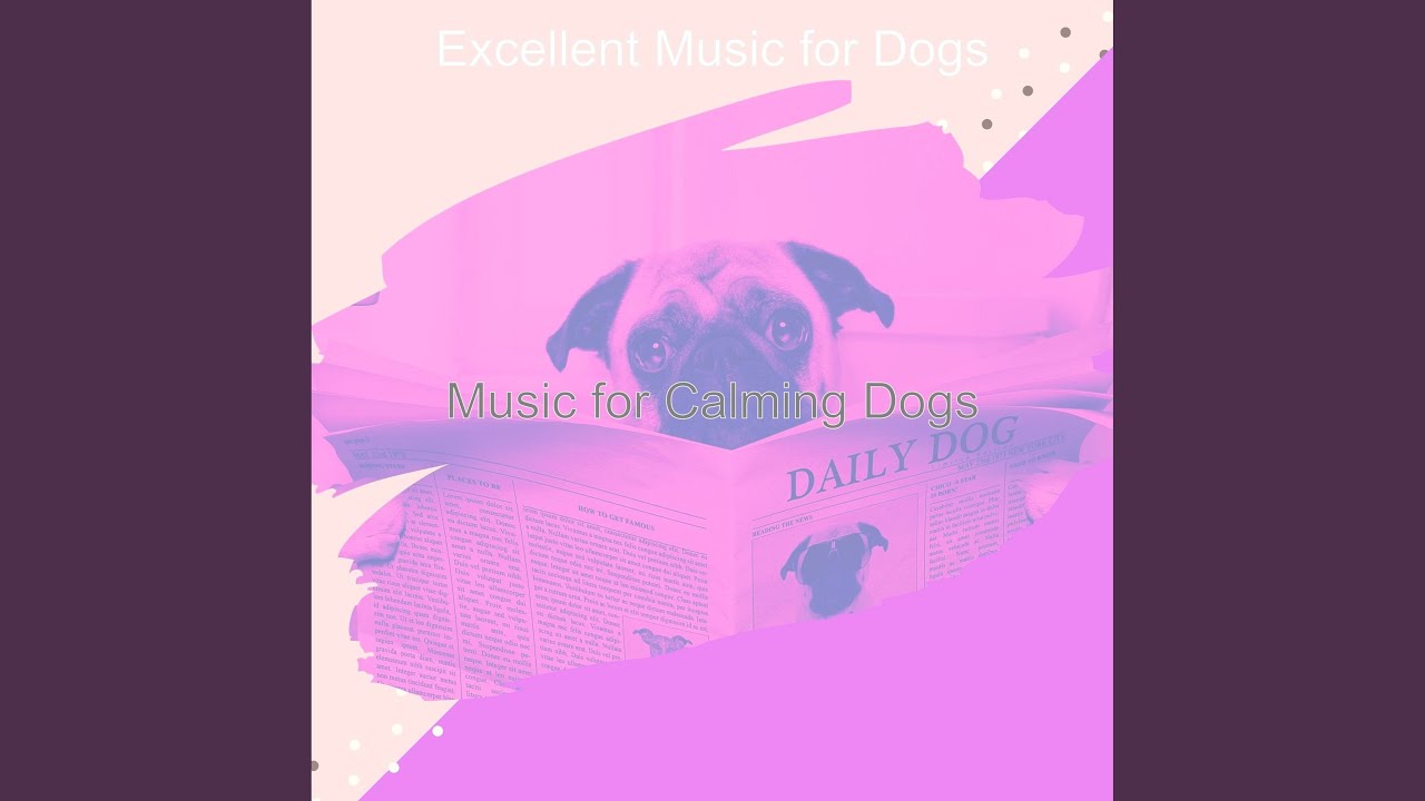 Laid-back Easy Listening Music - Vibe for Quiet Dogs - YouTube