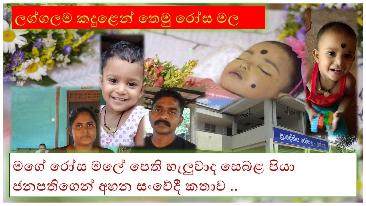 laggala rohala ha dariya ලග්ගලම කදුළෙන් තෙමු රෝස මල - YouTube