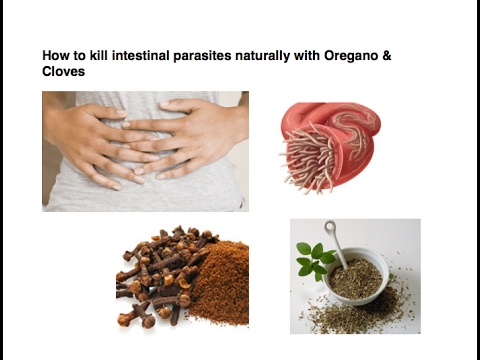 How to kill intestinal Parasites Naturally. Home remedies for ...