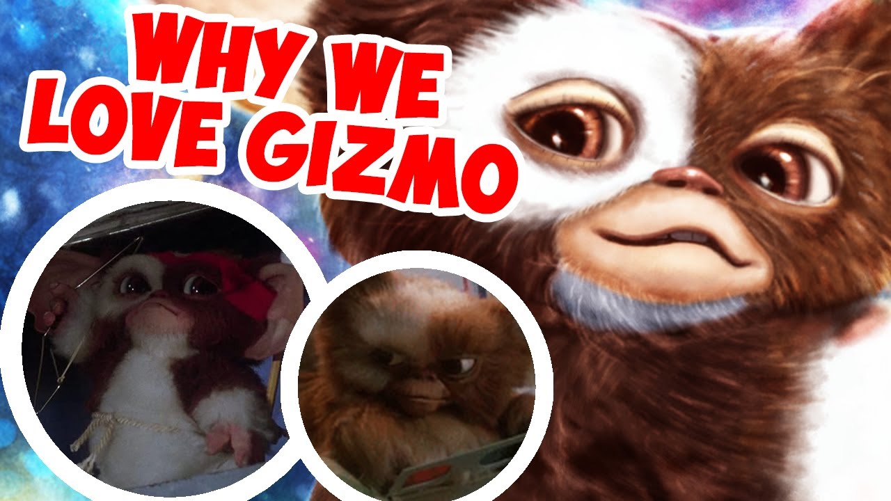 Why Gizmo Is Universally Loved - YouTube