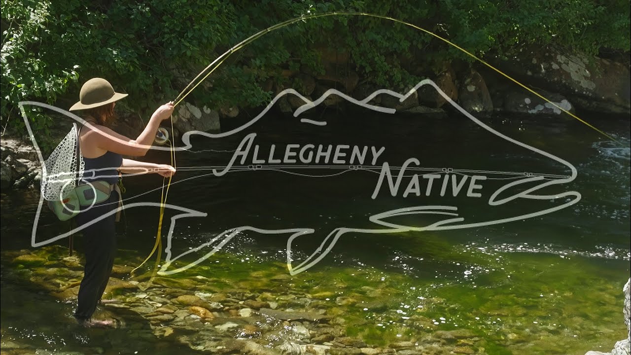 Mountain Stream Fly Fishing in Montana for Wild Rainbow Trout - YouTube