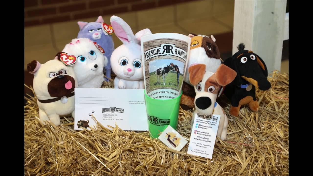 Rescue Ranch Screening of The Secret Life of Pets - YouTube