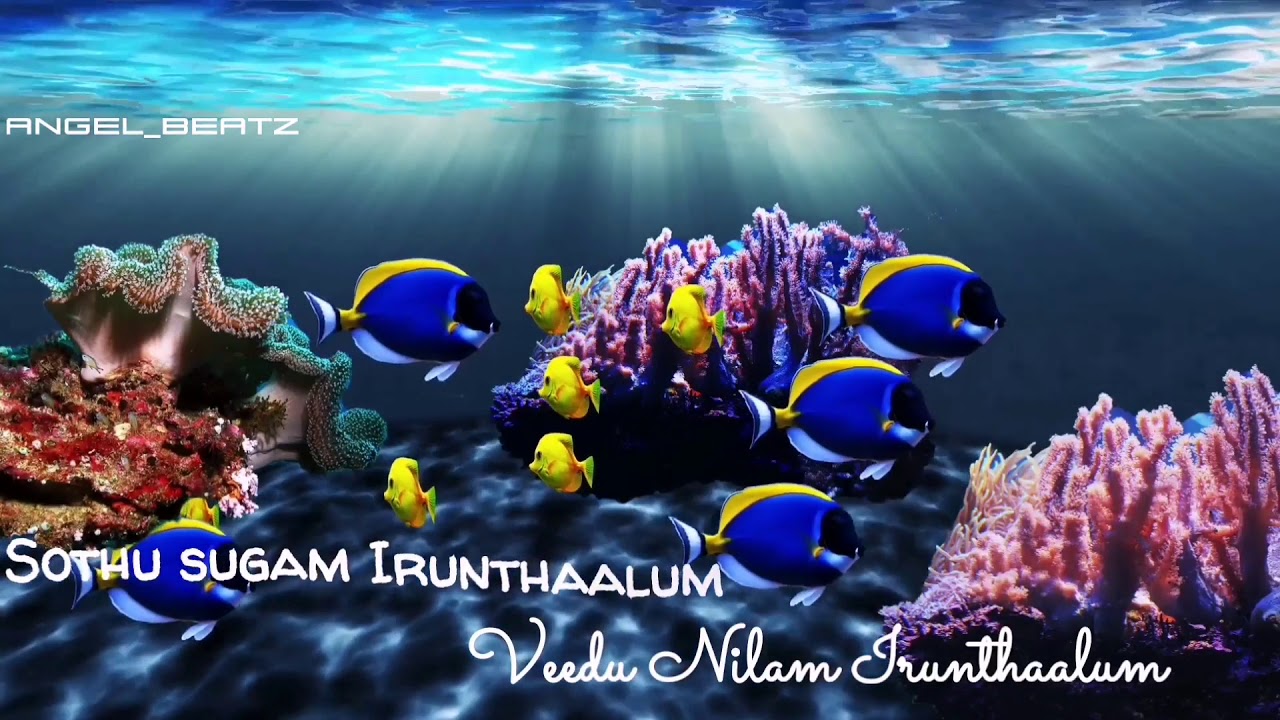 Sothu Sugam Irunthalum |Tamil Christian WhatsApp Status Song - YouTube