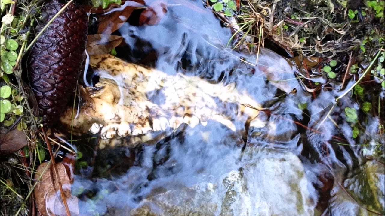 Cloud Captain - YouTube